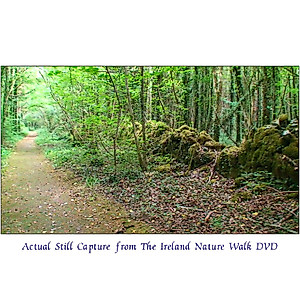 Ireland Nature Walk Treadmill Scenery DVD