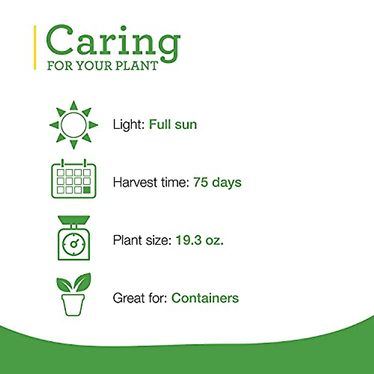 Bonnie Plants Green Bell Pepper Live Vegetable Plants - 4 Pack, Non-GMO, 2 - 3 Ft Plants, 4.5 x 4 Inch Pepper Size