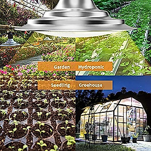 Espird Outdoor LED Grow Lights for Greenhouse Waterproof String Grow Light, Full Spectrum LED Plant Grow Light Lamp, Waterproof Greenhouse Grow Lights for Seedling, Veg, Flower (6-Bulbs)