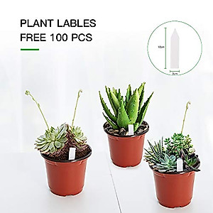 JERIA 100-Pack 6 Inch Plastic Plant Nursery Pots Come with 100 Pcs Plant Labels, Seedling Flower Plant Container and Seed Starting Pots