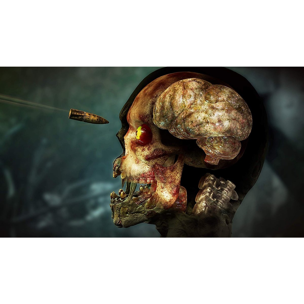 Zombie Army 4: Dead War - PS4 【CEROレーティング「Z」】