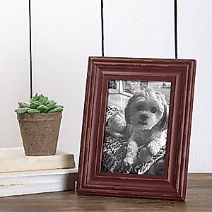 Foreside Home & Garden FFRD06235 5X7 Dalton Photo Frame Red
