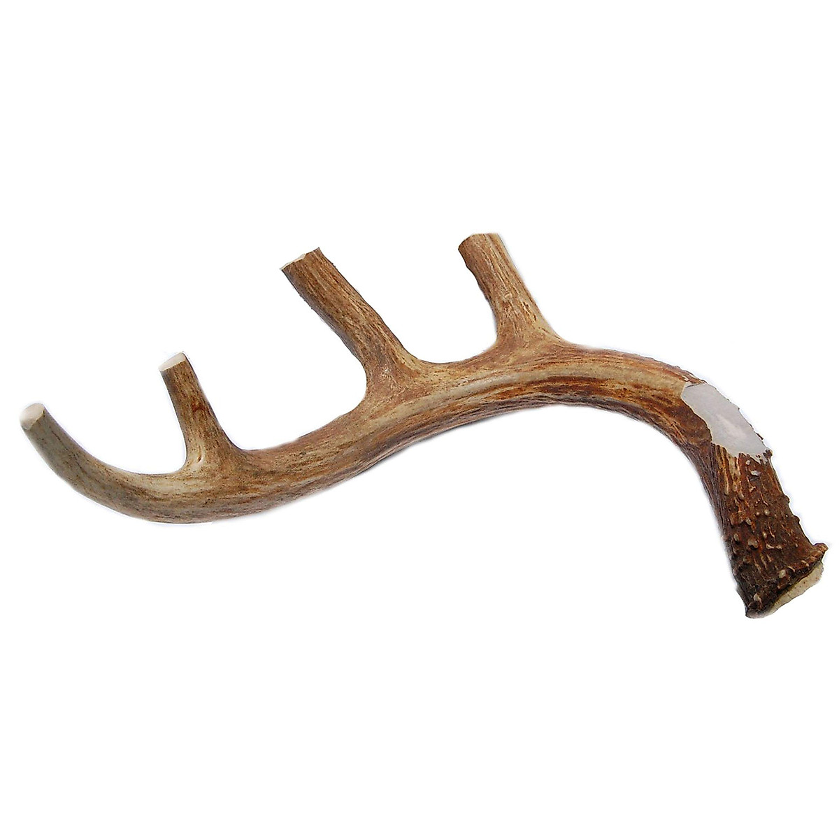 XL Deer Antler Dog Chew - Extra Large, Jumbo, for Large Dogs and Puppies Who are Aggressive Chewers