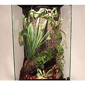 BNOSDM Reptile Vines Plants Flexible Jungle Climbing Vine Natural Moss Rope Jungle Decor for Bearded Dragons Lizards Snake Chameleon Geckos