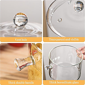 Riavzau Glass Cooking Pot, 1.5L/50oz Heat-Resistant Borosilicate Glass Saucepan with Cover, Cookware Set Stovetop Pot for Soup, Pasta,& Baby Food (50OZ)