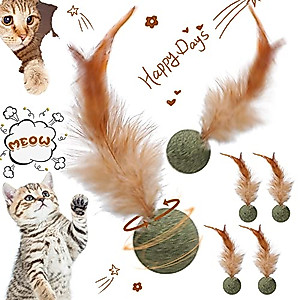 HyDren 6 Pcs Interactive Cat Toy Catnip Feather Ball Compressed Natural Catnip Lollipop Natural Cat Kicker with Feathers for Kitty