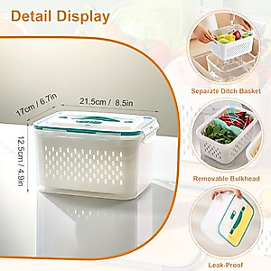 DOPHCOZFFY Airtight Fruit Storage Containers for Fridge with Removable Colander, Dishwasher Safe Produce Saver Container for Refrigerator (3 PCS fruit storage containers)