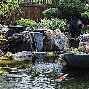 Aquascape PREVENT Water Treatment for Fountains, Waterfalls, Rock and Gravel, Prevent White-scale Buildup, Stains, Foam and Other Unsightly Water Conditions, 32 ounce / 946-ml | 96075