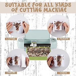 Tintnut Cowhide Permanent Vinyl Roll - 12 inch x 5ft, Cow Print Adhesive Vinyl, Skins Animal Print Vinyl, Permanent Outdoor Vinyl for Decor Sticker, Self Sticker Water proofing Vinyl