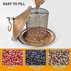 Squirrel Proof Bird Feeders, Cute Lantern Bird Feeder Roof Shaped, Heavy Duty Metal Wild Bird Feeder with Hook for Garden Yard Outside Hanging Decor, 2lbs Capacity - Bronzed