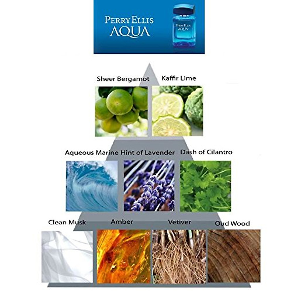 Perry Ellis Perry Ellis Aqua Men 3.4oz EDT Spray, 0.25oz EDT Spray, 6.8oz Deodorizing Body Spray, 1.7oz Shower Gel 4 Pc Gift Set