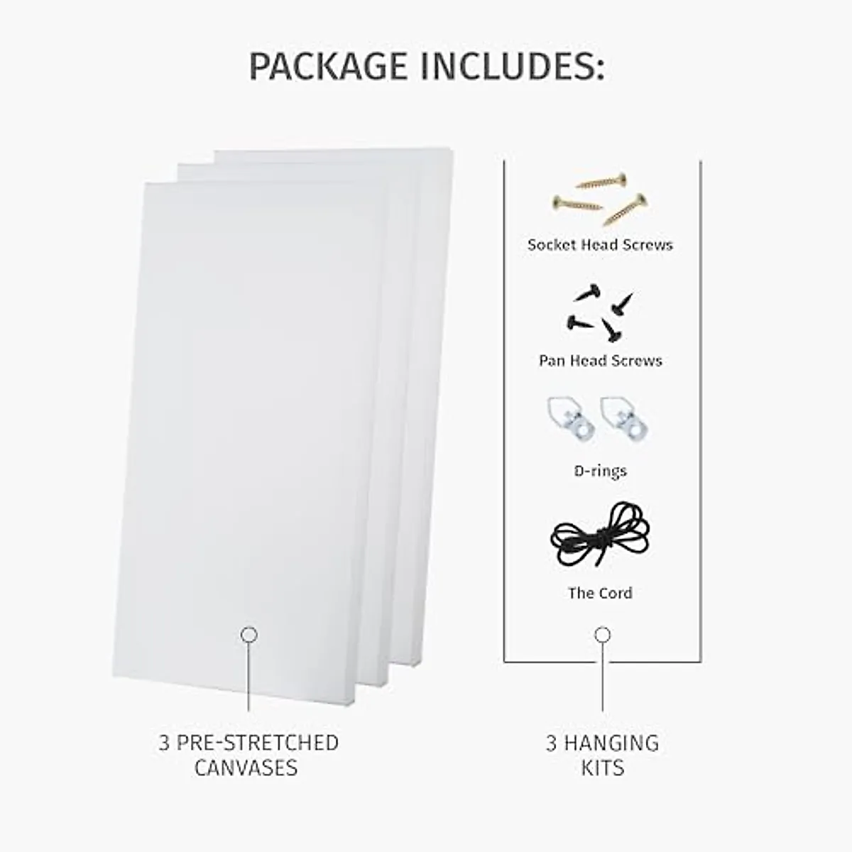 PIXY CANVAS Value Pack of 3 Stretched Canvas 10x12 inch, 3/4 (0.75) inch deep for Your Paintings/Artwork/Wall Art/Wall Decor (Pack of 3 Canvas, 10 x 12 inch, Portrait)