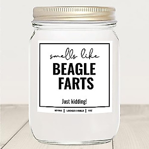YouNique Designs Smells Like Beagle Farts Soy Candle 8oz - Dog Farts Candle Beagle Gifts for Beagle Lovers - Beagle Gifts for Women, Men - Beagle Dad Gifts, Dog Mom Gifts (Lavender & Vanilla)