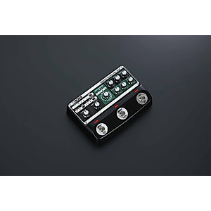 Boss RE-202 Space Echo Delay and Reverb Effects Bundle with Instrument Cable, Patch Cable, and Picks