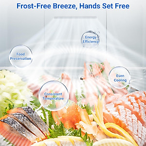 Smad 21 Cubic Feet Stand Up Freezer, Convertible Freezer/Refrigerator with LED Light, Stainless Steel Frost Free Upright Freezer with Left Open Door for Kitchen, Home,Garage