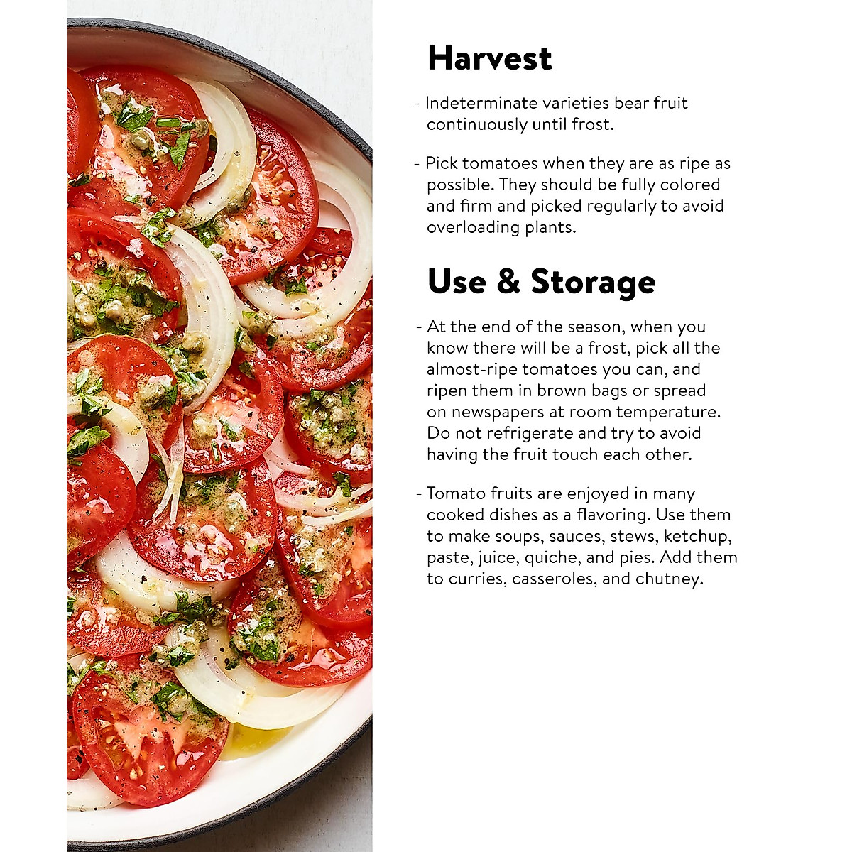 Burpee 'Big Boy' Hybrid Tomato Seeds, Large Slicing Tomato with Rich Flavor,50 Non-GMO Seeds