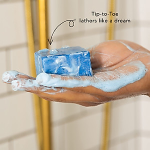 Ethique The Adventurer Gift Pack for Travelers - Shampoo, Laundry, Shaving & Stain Remover Bundle - Plastic-Free, Vegan, Cruelty-Free, Eco-Friendly, 7.4 oz (Pack of 1)