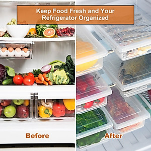 MUXHEL 6 Pcs Food Storage Container for Fridge, X-Large Fruit Storage Containers for Fridge with Lid and Removable Drain Plate, Plastic Freezer Storage Containers for Storing Fruits, Vegetables, Meat