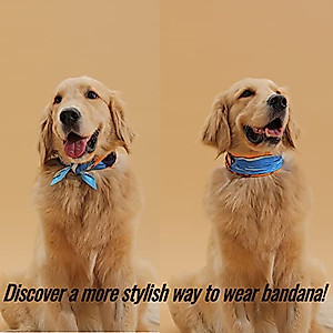 HI-HIXO Blue Dog and Owner Matching Set |Dog Bandanas and Men Socks Set | Original Designed Dog Scarf Bibs for Small Medium Large Dogs | Dog and Owner Friendship | Pet Lover Gifts