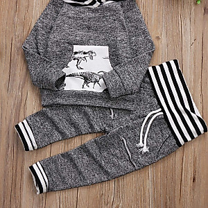 Toddler Infant Baby Boy Girls Clothes Hoodie Fall Winter Sweatsuit Pants Gender Neutral Long Sleeve Outfit Set(18-24 Months, Dinosaur)
