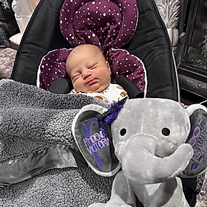 4moms RockaRoo and MamaRoo Infant Insert for Newborn Baby and Infant, Machine Washable, Soft, Plush Fabric, Reversible Design, Maroon