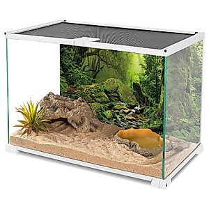 AWERT Tropical Forest Terrarium Background Stream Green Huge Tree Reptile Habitat Background Foggy Rainforest Aquarium Background 30x12 inches Durable Polyester Background