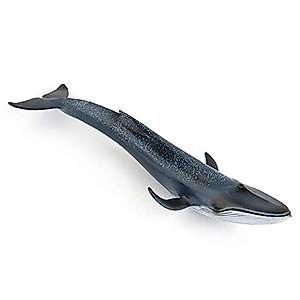 EOIVSH Sea Animal Figure Blue Whale Toy, Plastic Large Ocean Animal Figurine Realistic Educational Marine Model Figurine for Birthday Gifts, Party Favors, Kids Toys
