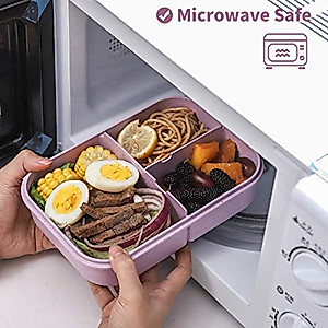 MISS BIG Lunch Box Kids,Ideal Leak Proof Lunch Containers, Mom’s Choice No BPAs and No Chemical Dyes Bento Box for Kids,Microwave and Dishwasher Safe Lunch Box (Purple M)