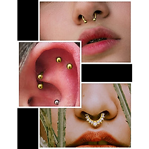 Msndnkwo 16G Septum Ring for Women Men 316L Surgical Stainless Steel Septum Jewelry Nipple Rings Nose Ring Seamless Hinged Segment Clicker CZ Daith Rook Helix Tragus Cartilage Piercing Jewelry