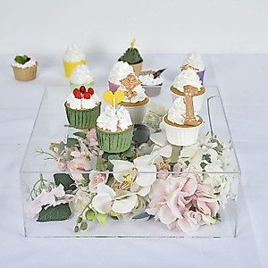 Balsa Circle 14-Inch Clear Acrylic Display Box Cake Stand Centerpiece Pedestal Riser Party Wedding Decorations Supplies