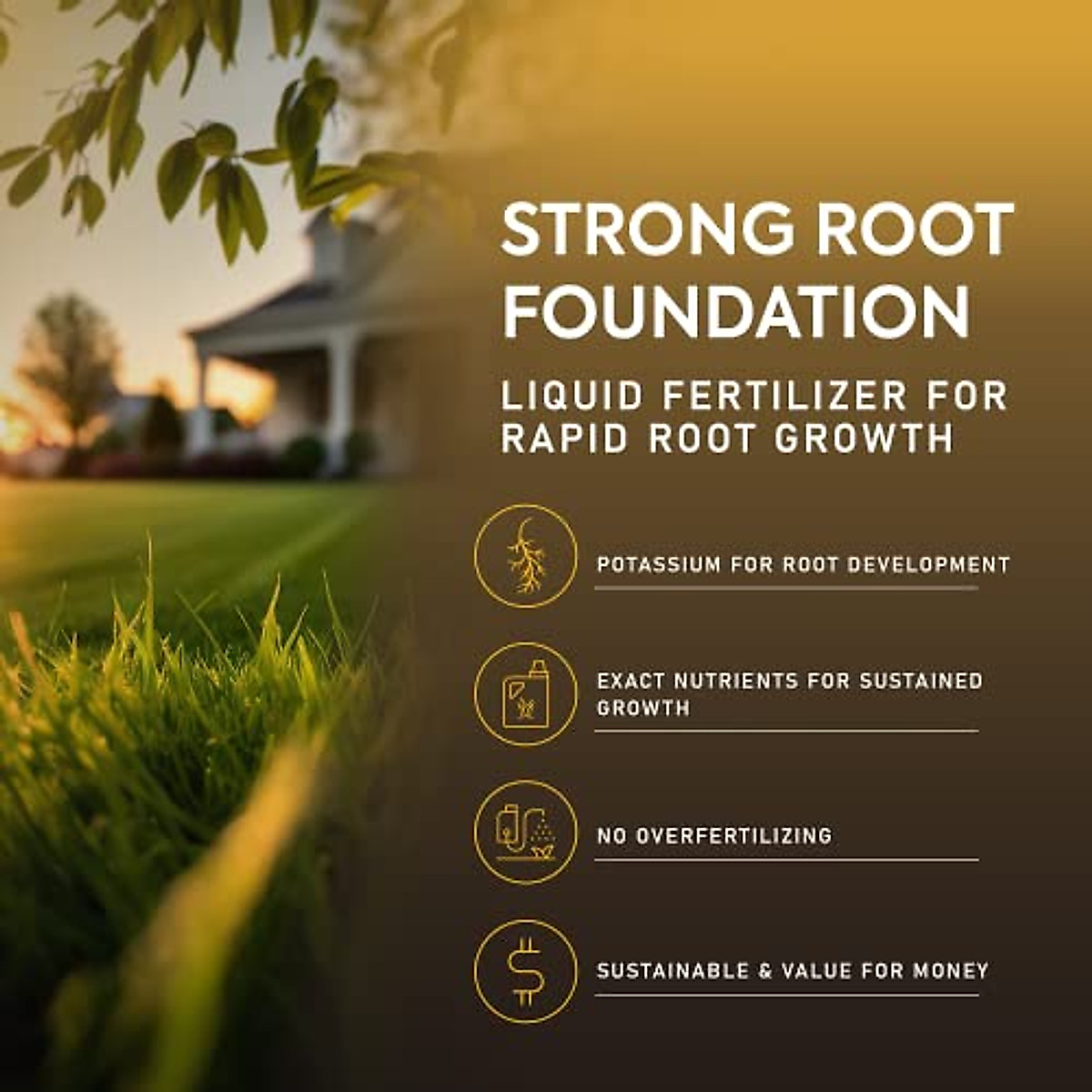 Root Organic Lawn Fertilizer - Grass Fertilizer for Lawn with Potassium for Root Growth, Lawn Fertilizer That Conditions Soil, No Harsh Chemicals Lawn Care, 32 oz Lawn Food for 5,000 sq. ft.