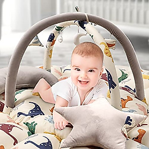 5-in-1 Thick & Plush Baby Play Gym with Tummy Time Pillow,Convertible Stage-Based Developmental Activity Gym & Play Mat from Baby to Toddler, Ball Pit, Pet Cushion,Baby Shower