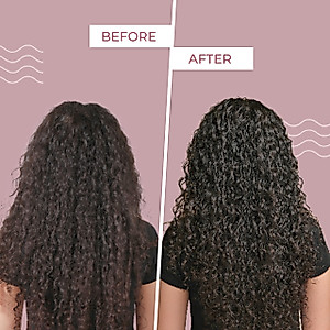 Ashba Botanics Nourishing Conditioner For Dry, Frizzy, Dehydrated Hair | Adds Shine & Moisturize | With Shea Butter, Argan Oil | Detangling Conditioner, Soft Smooth Hair | For Men & Women - 6.79 Fl Oz