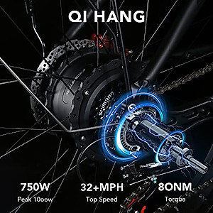 Electric Bike for Adults, 48V 17AH Removable LG Cells Battery Snow Ebike, 29" 750W Brushless Motor 32MPH Mountain Bicycles,Shimano 7-Speed with Hydraulic Disc Brakes Beach Ebike UL Certified