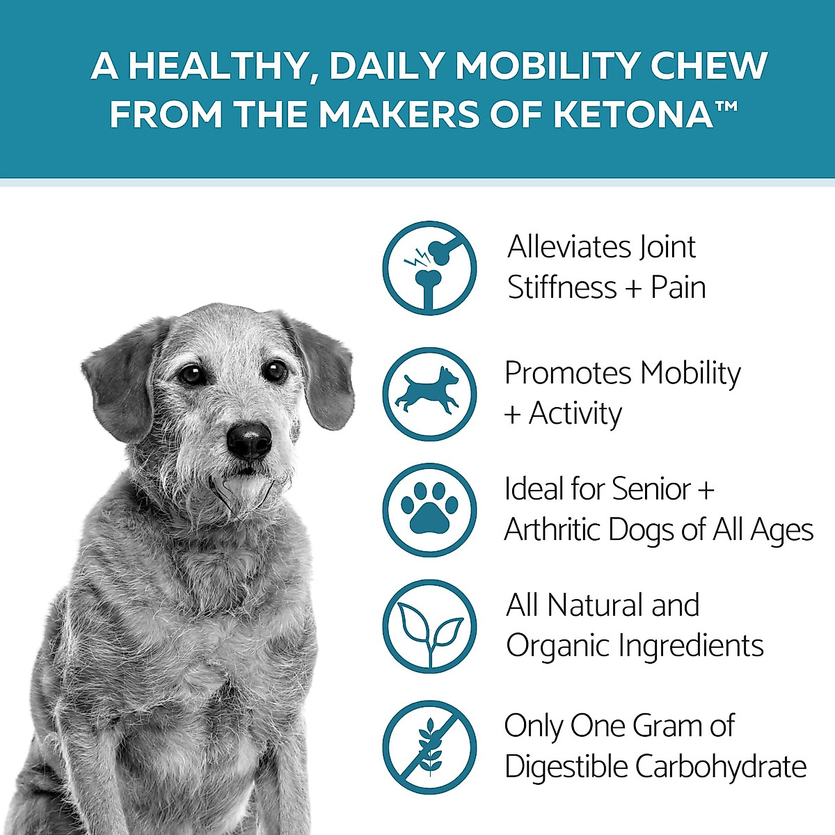 Ketona Daily Mobility Chews for Dogs, Natural Duck Flavor, Healthy Supplements to Lubricate Joints and Promote Healthy Mobility, Natural and Organic Ingredients – 120 Count