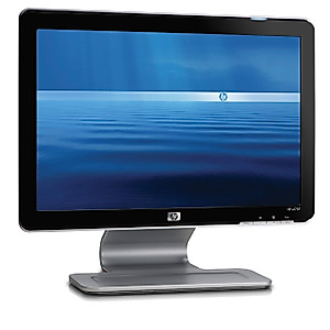 HP W1707 17-inch LCD Monitor