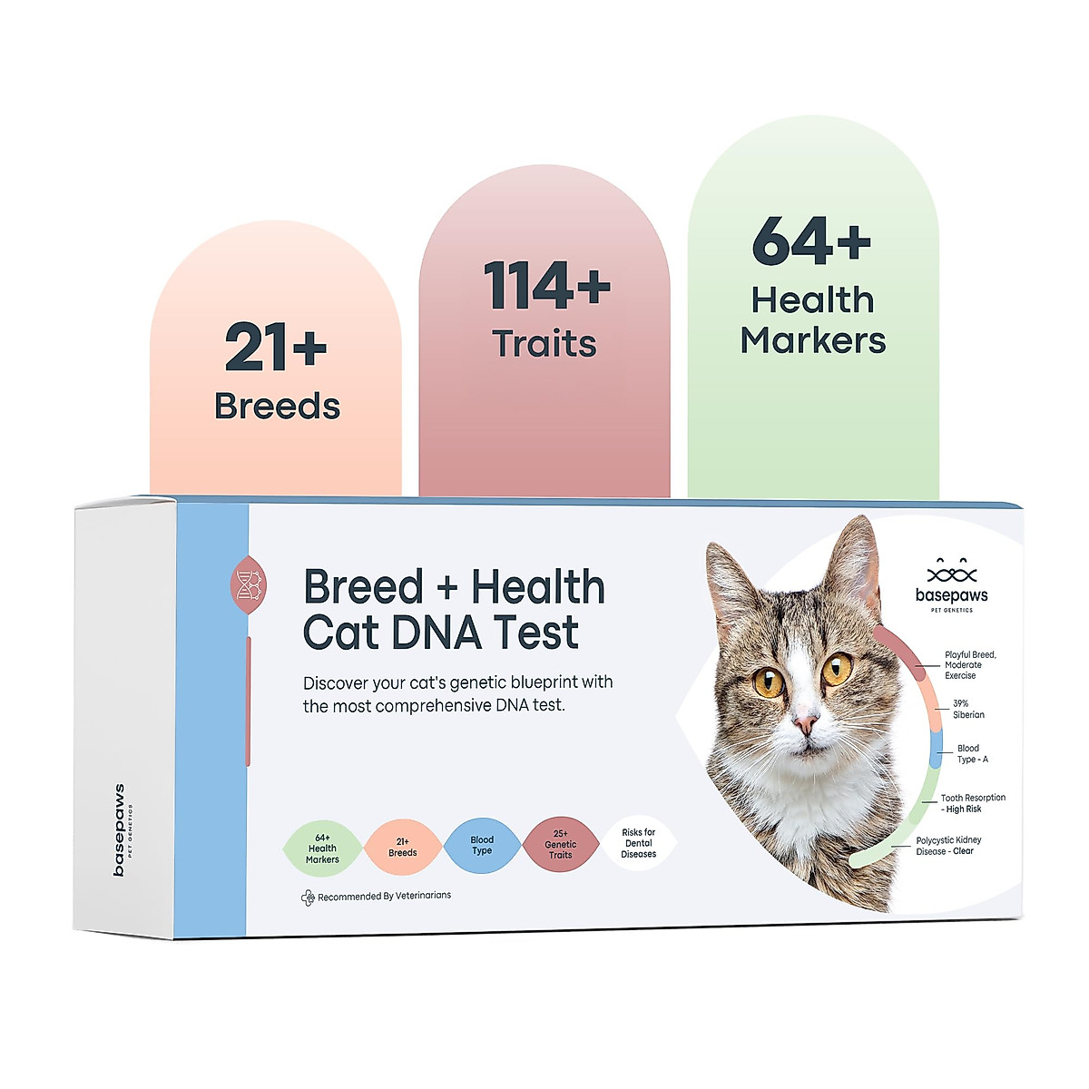Basepaws Cat DNA Test Kit - Comprehensive Breed, Health and Dental Analysis Across 114 Traits for Accurate and Easy-to-Use Genetic Insights