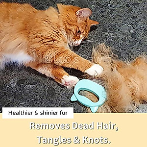 Leo's Paw The Original Pet Hair Removal Massaging Shell Comb Soft Deshedding Brush Grooming and Shedding Matted Fur Remover Dematting tool for Long and Short Hair Cat Dog Puppy Bunny (Blue)