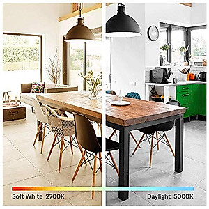 Amazon Basics - A19 LED Light Bulb, Daylight White, 15W (Equivalent to 100W), Non-Dimmable, 10,000 Hour Lifetime, 2-Pack