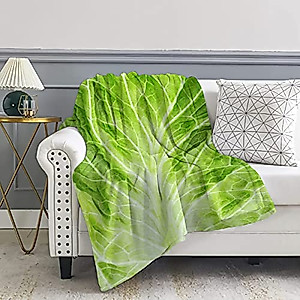 Citrasena Food Flannel Fleece Super Soft Cozy Blanket Cabbage Lightweight Warm Throw Blanket for Couch Living Room Bed Sofa Travel 40"x30" for Pet