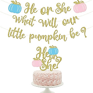 Pumpkin Gender Reveal Decorations Fall Gender Reveal Decorations He or She What Will Our Little Pumpkin Be Banner He or She Cake Topper He or She Fall Baby Gender Reveal Party Supplies