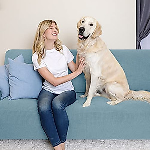 SUBRTEX Stretch Sofa Cover Set 1 Piece Sofa Slipvover with A Gift Cushion Cover for 2 Cushion Couch Loveseat(Steel Blue,Loveseat)