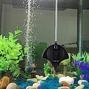 Carefree Fish Manta Ray 1.5W Mini Air Pump with Accessories Tube and Tiny Air Stone Quiet Aerator Kit for Fish Tank 0.5-15 Gallon Fish Bowl Oxygen Pump