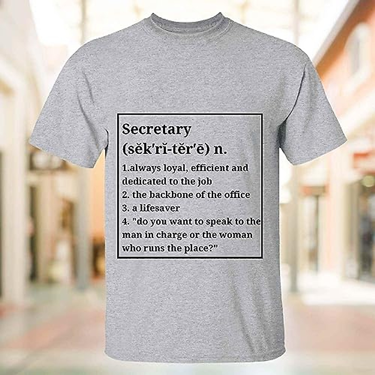 Funny Gift Friend Gift For Receptionist Administrator Secretary Definition Men Women White Gray T Shirt