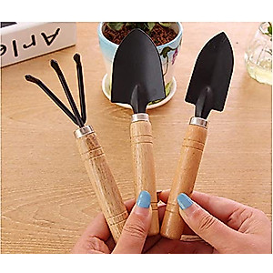 TPELKY Mini Garden Tools Set of 3 Mini Garden Tools Spade/Rake/Spade set of gardening tools