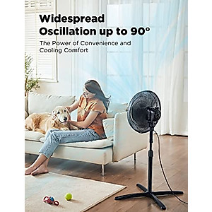 PELONIS Fan Portable 16 Inch Pedestal Fan| 3-Speed| 90° Oscillation| Adjustable Height| Standing Floor Fan for living room, bedroom, kitchen, and home office| Black, PFS40M2ABB