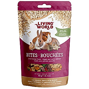 Living World Quinoa Bites, 2.1 Ounce