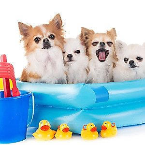 Outus 10 Pieces Inflatable Patches Self Adhesive Vinyl Pool Float Patch Repair Kit for Above Ground Pools, Air Mattress, Bounce House, Inflatables Swimming Pool, Square Shape (Blue)