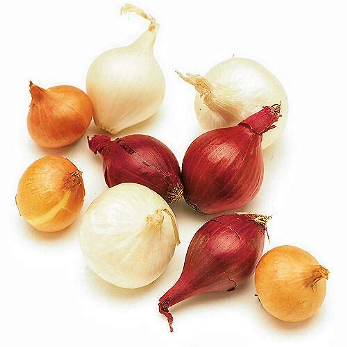 Kejora Fresh Pearl Onions Combination ( Yellow, White and Red ) 3 x 10 oz ( 1 pack per color)