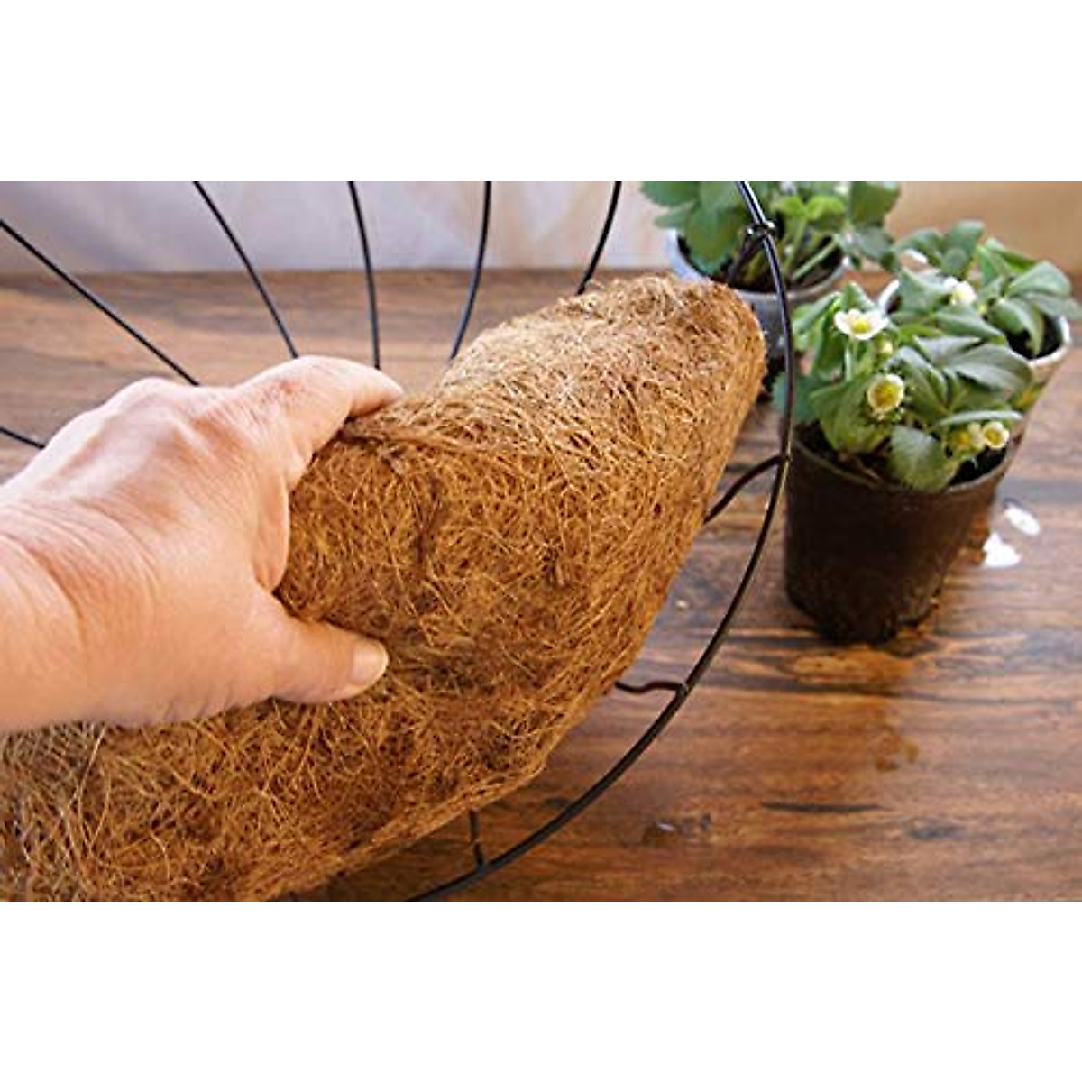 FDGARDEN 2PCS Round Replacement Coco Liner for Hanging Basket, 12 inch Coconut Fiber Plant Basket Liner for Garden Planter Flower Pot (12 inch Round)